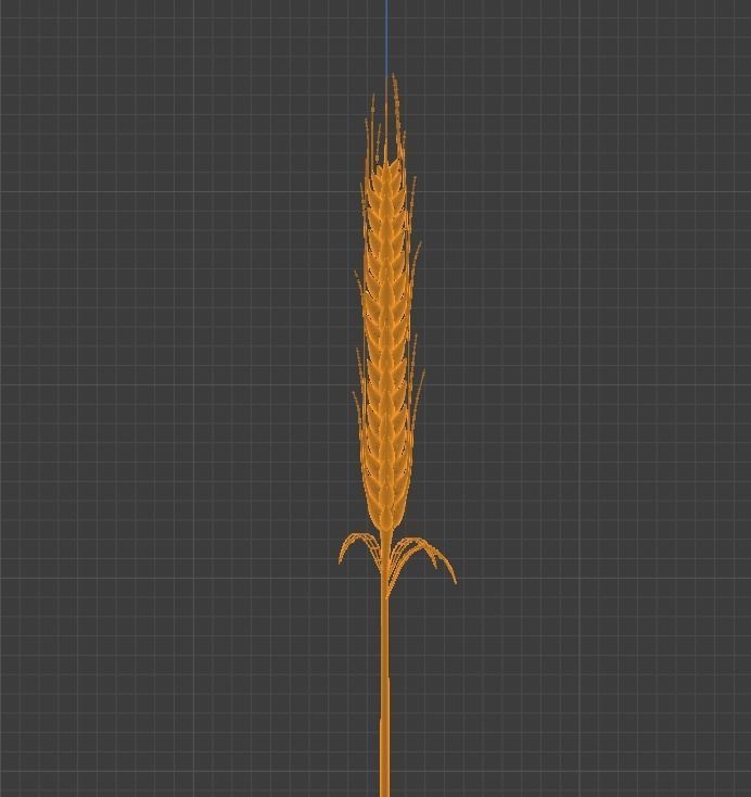 3D model High Quality 3D Detailed Barley Model VR / AR / low-poly ...