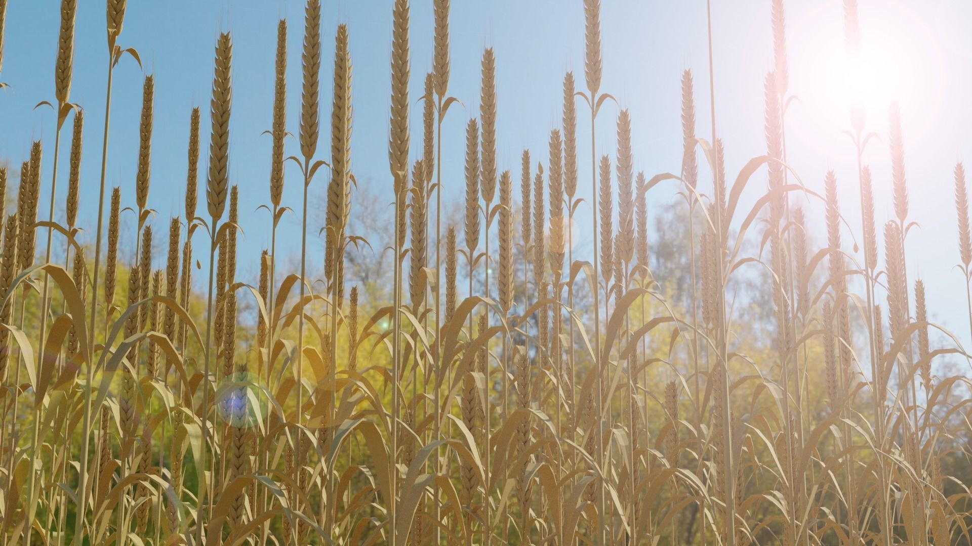 3D model High Quality 3D Detailed Barley Model VR / AR / low-poly ...