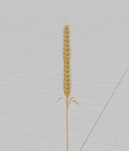 3D model High Quality 3D Detailed Barley Model VR / AR / low-poly ...