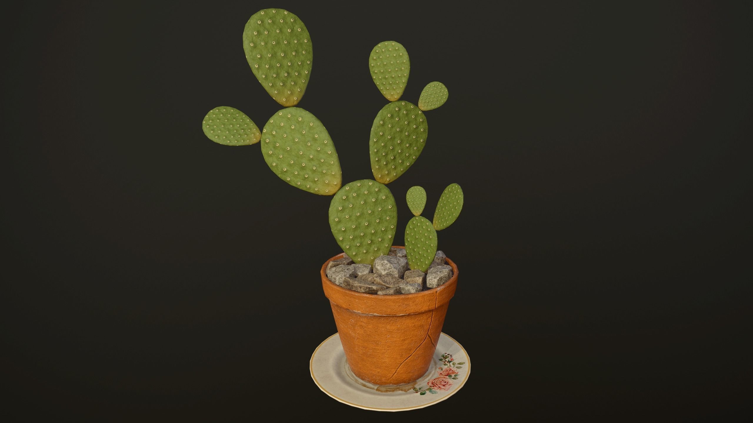 3D model Cactus - PBR Game Ready in pot VR / AR / low-poly | CGTrader