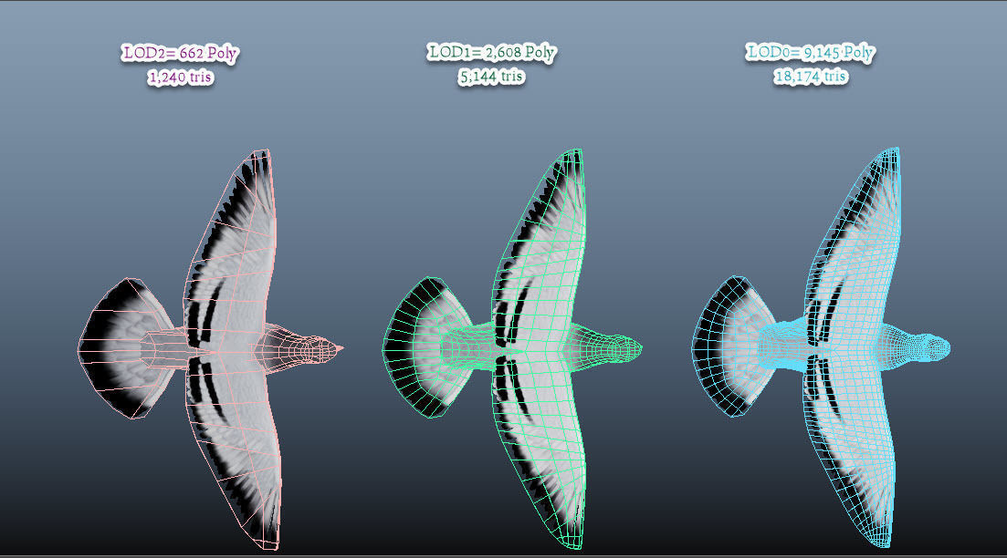 3D model Realistic flying Pigeon - LOOP FLIGHT animations VR / AR / low ...