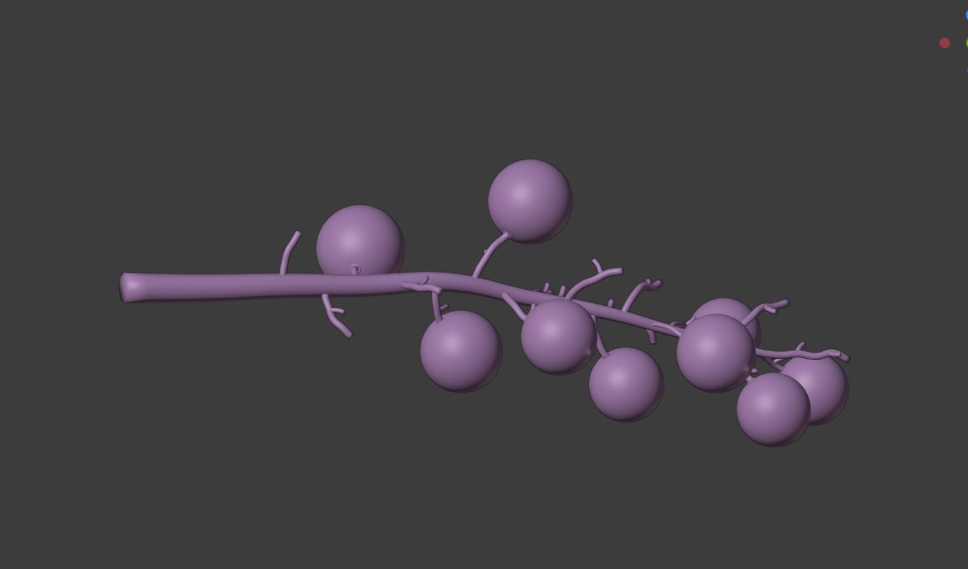 Cranberry berries free 3D model | CGTrader