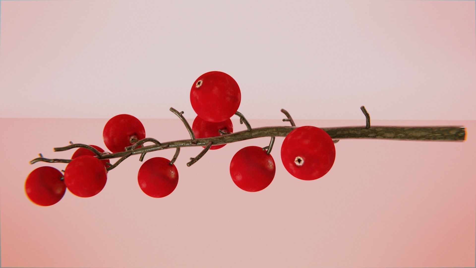 Cranberry berries free 3D model | CGTrader