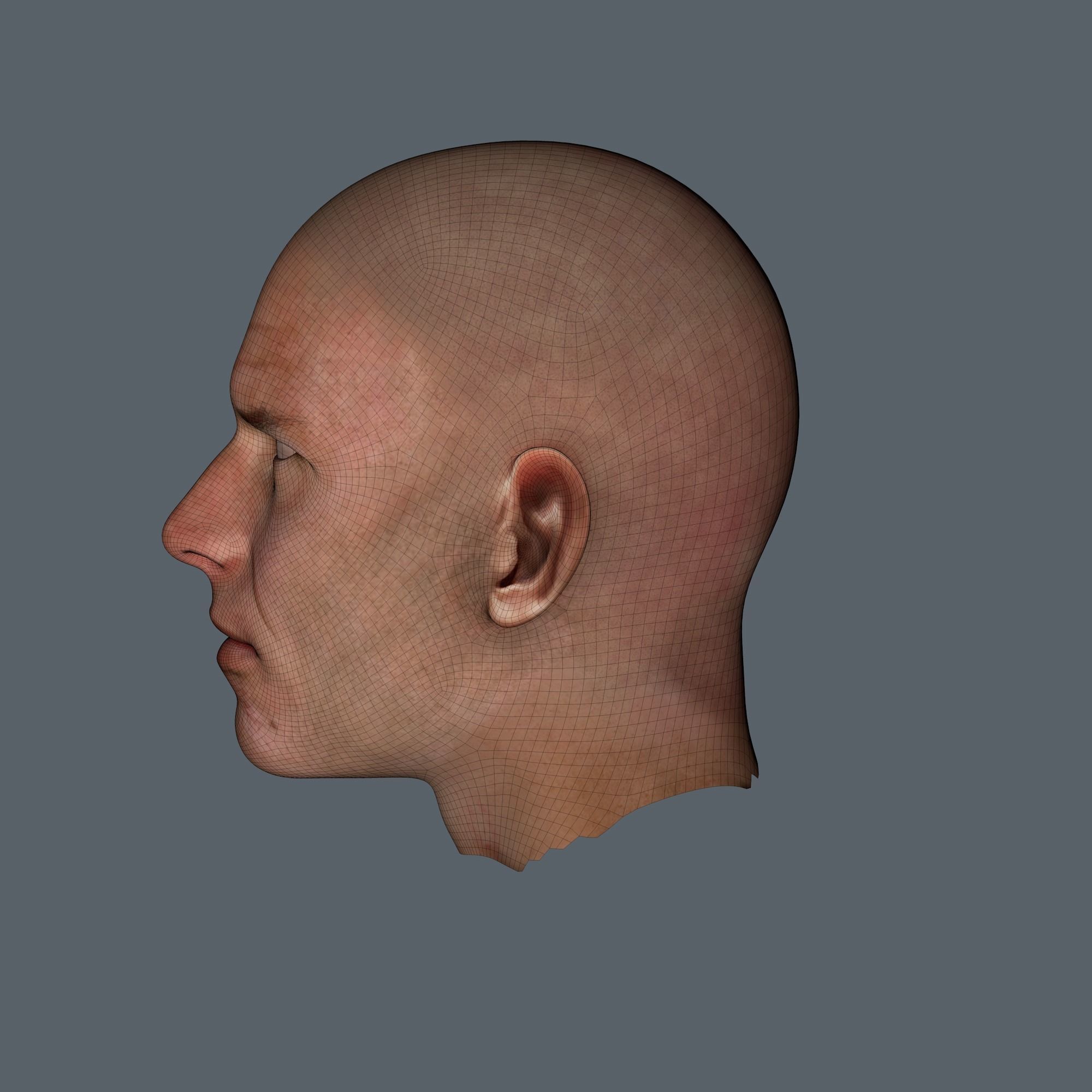 3D model Young Harrison Ford 3D face 1980 VR / AR / low-poly | CGTrader