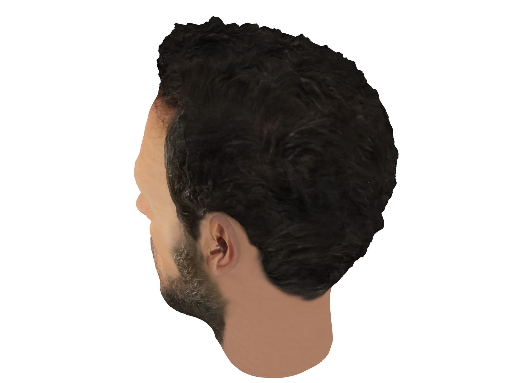 House MD 3D model | CGTrader