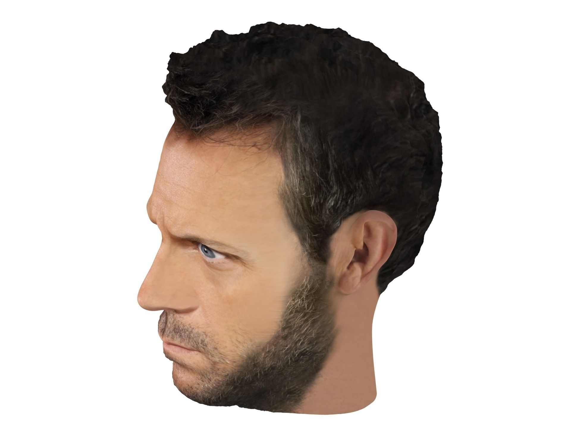 House MD 3D model | CGTrader