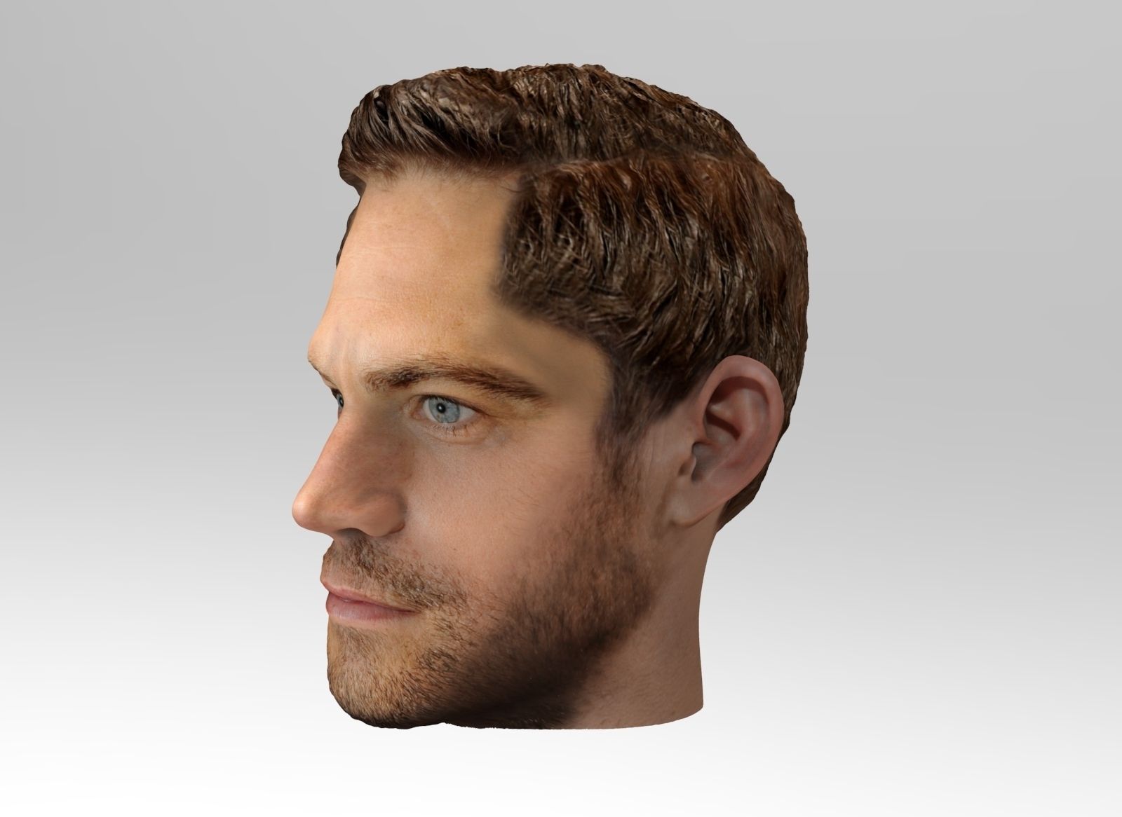 Paul Walker 3D model | CGTrader