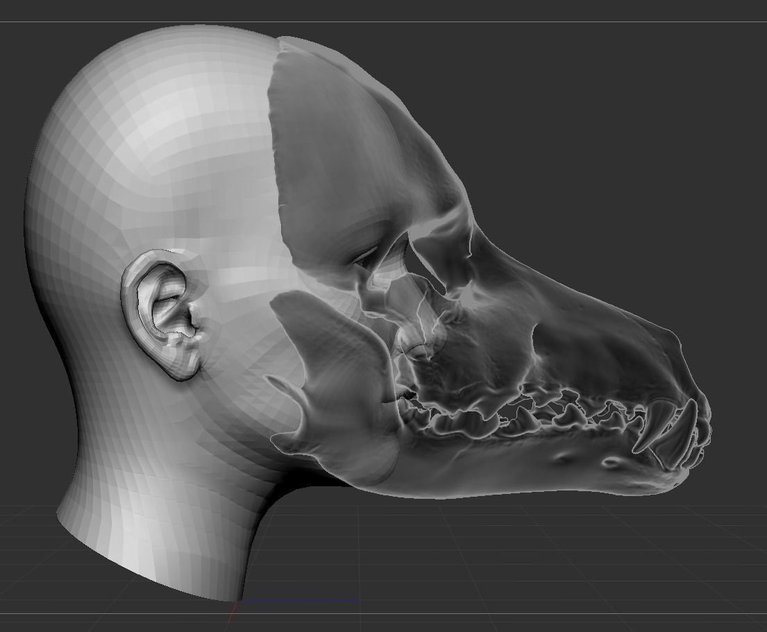 Dog Skull Scary mask for cosplay 3D model 3D printable | CGTrader