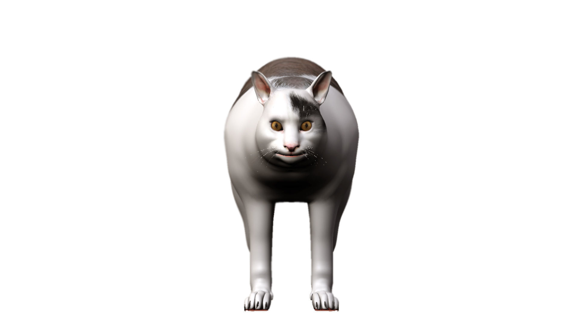 Polite Cat Meme 3d model 3D model | CGTrader