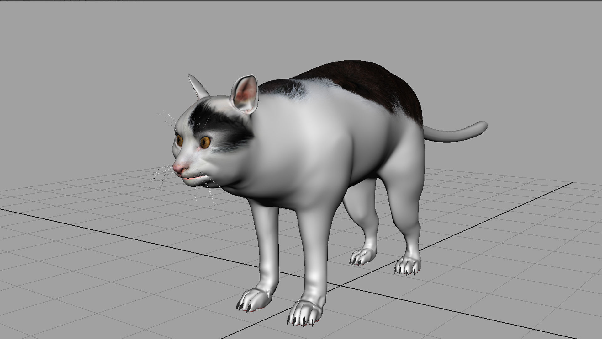Polite Cat Meme 3d model 3D model | CGTrader