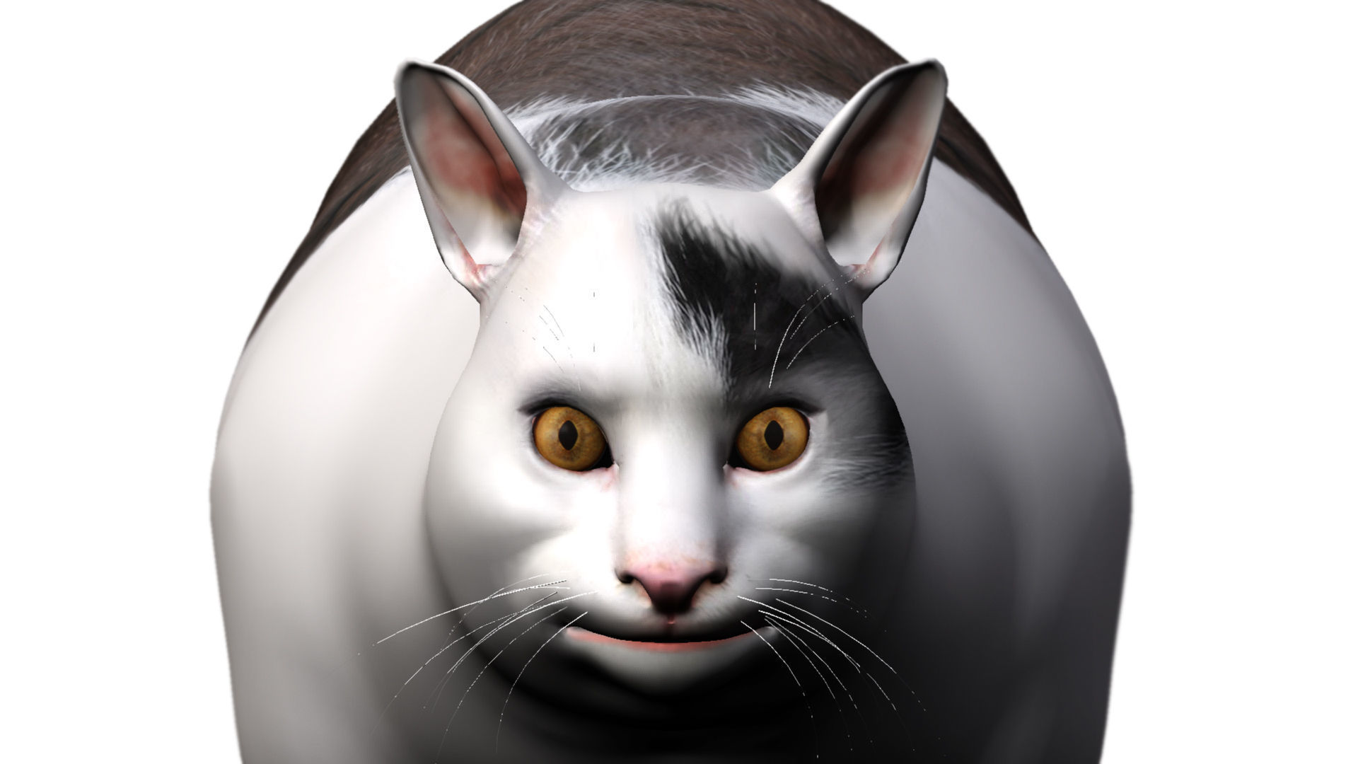 Polite Cat Meme 3d model 3D model | CGTrader