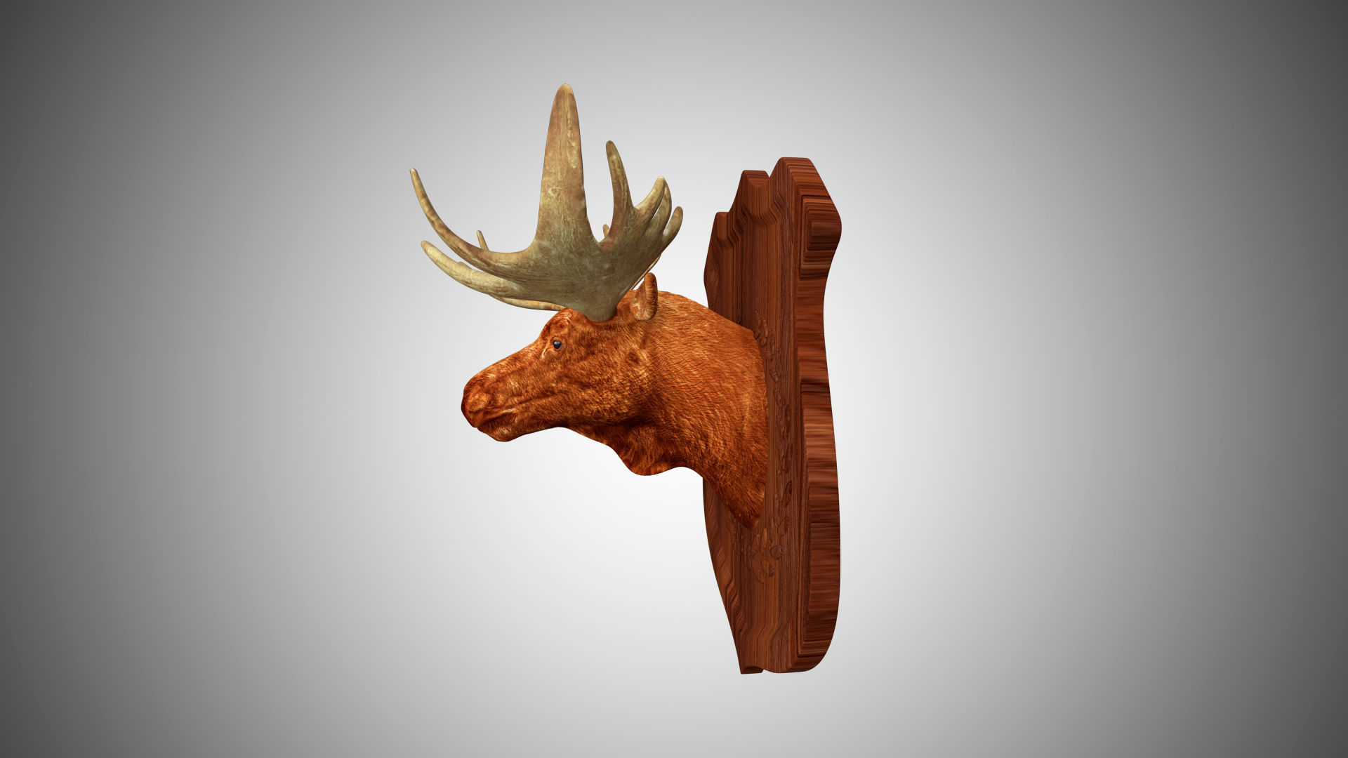 3D model Moosehead Low Poly Rigged with high quality texture VR / AR ...