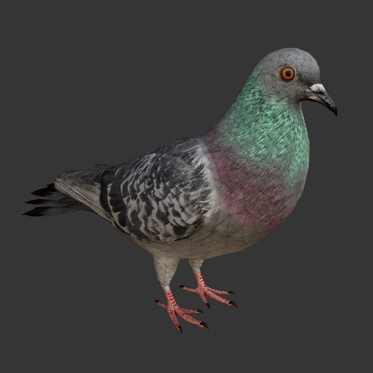 3D model Pigeon Low Poly Rigged with high quality texture VR / AR / low ...