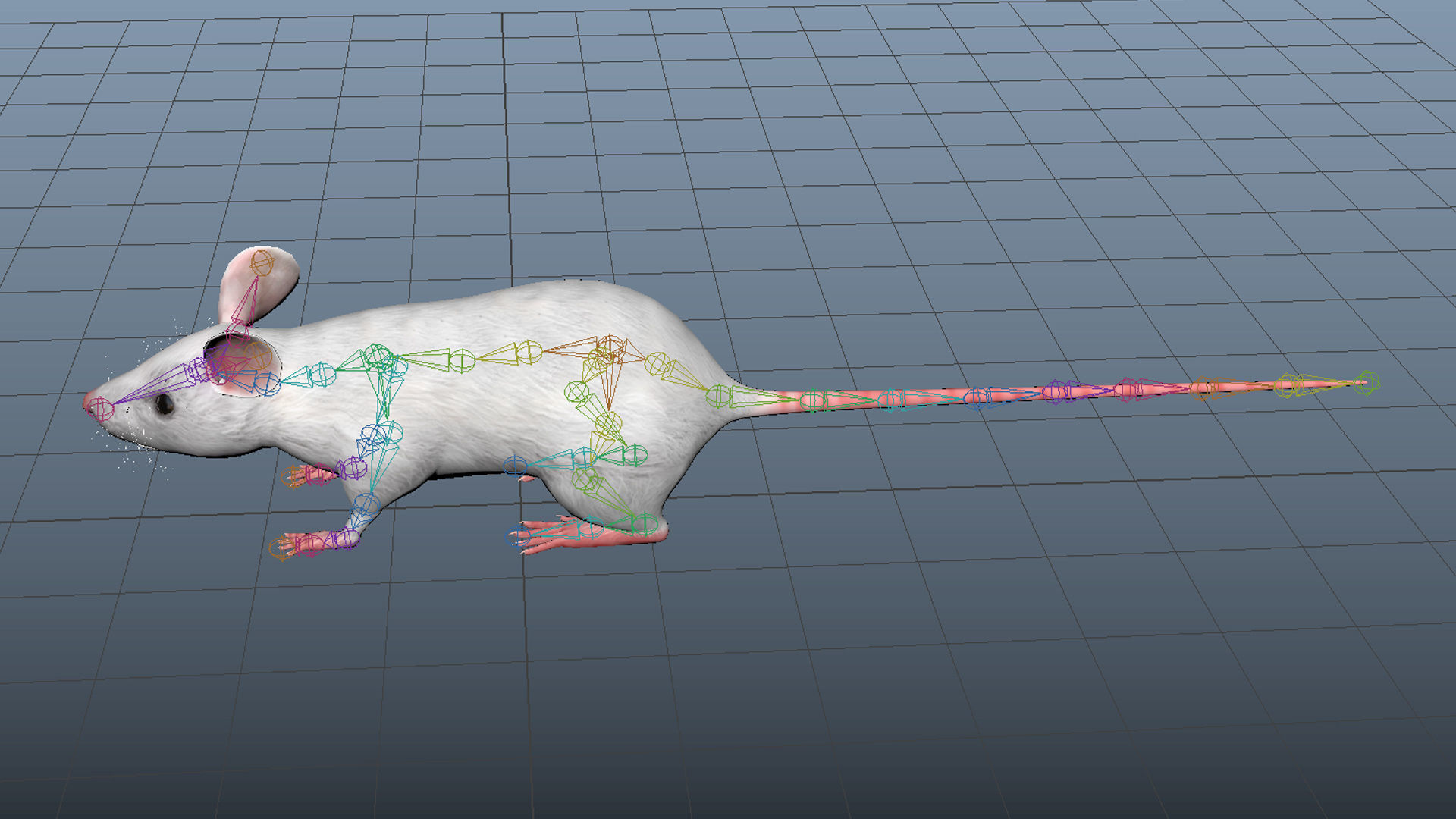 3D model White Mouse Mice Low Poly Rigged VR / AR / low-poly | CGTrader