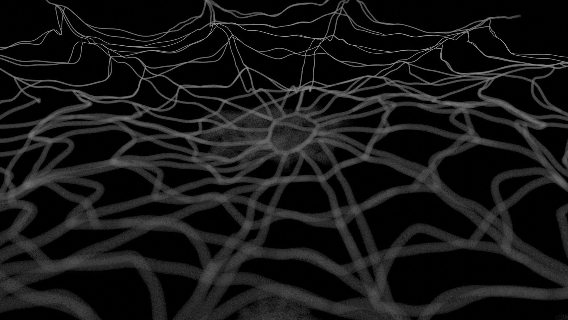 64 pcs Spider Web Asset pack Cobweb Net 3D model | CGTrader