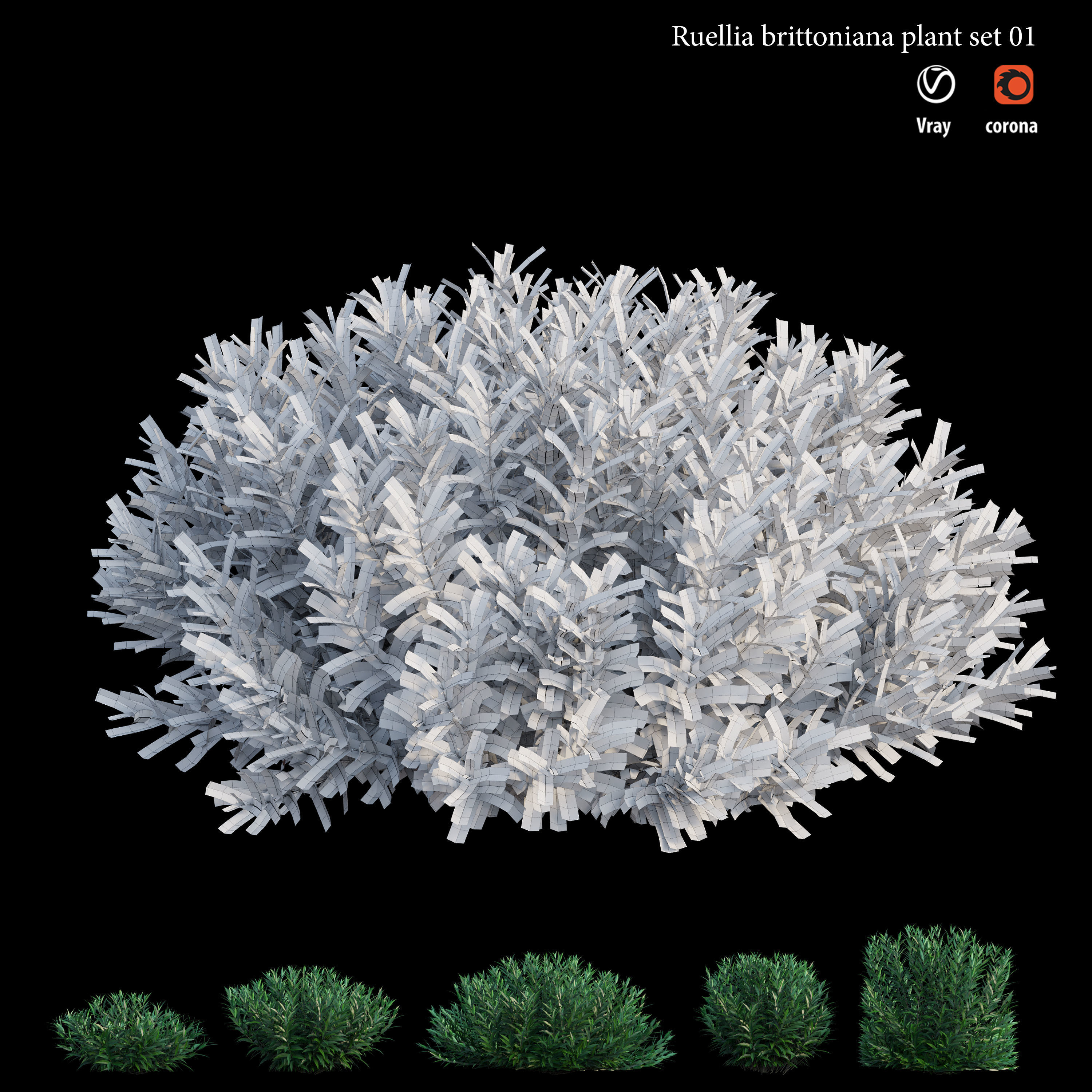 3D model Ruellia brittoniana VR / AR / low-poly | CGTrader