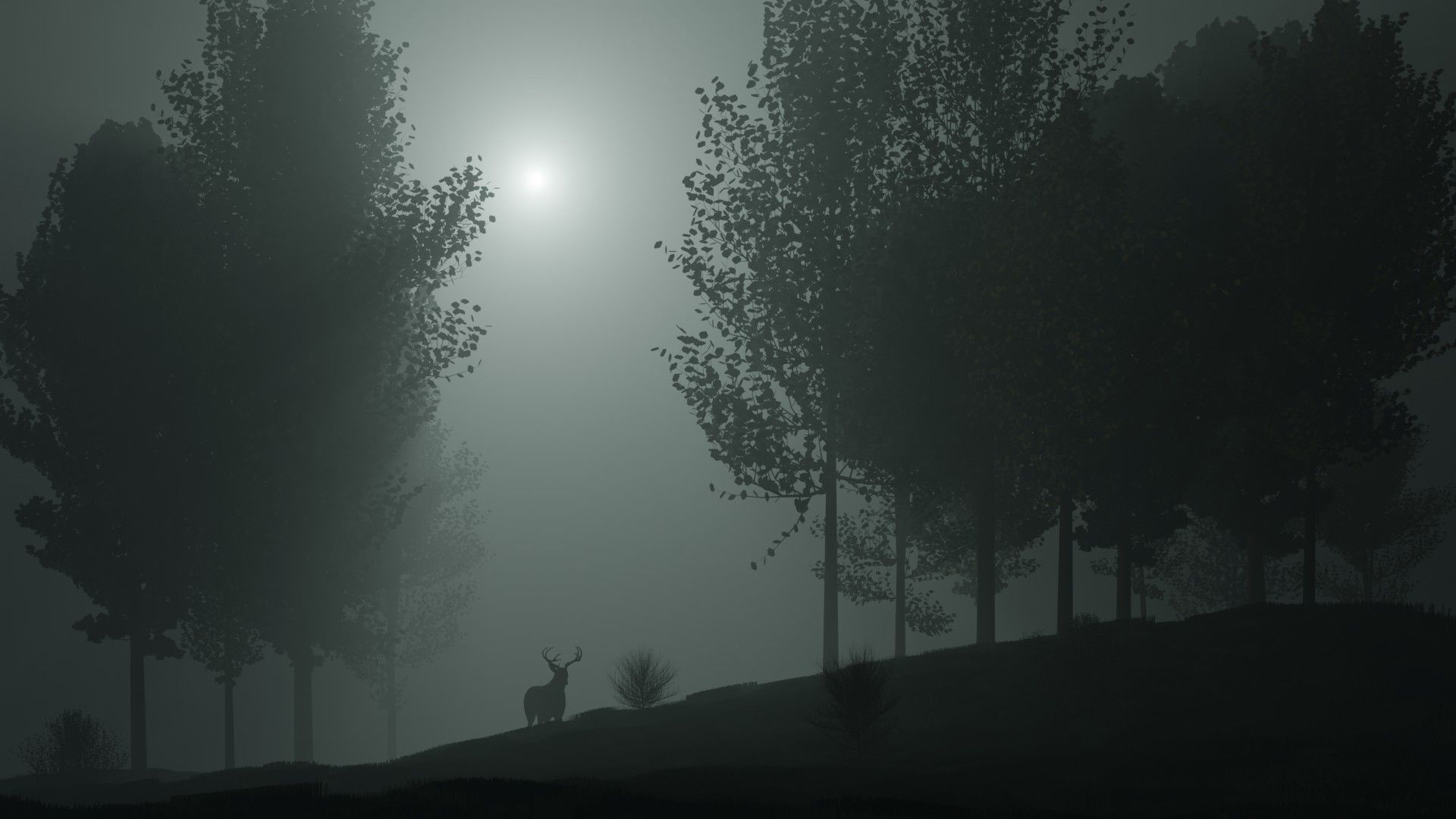 Forest landscape free 3D model | CGTrader