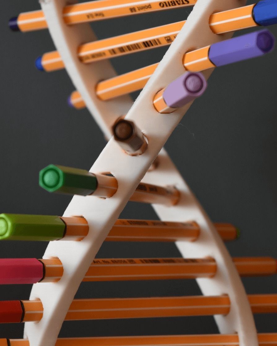 DNA Pen Holder by TIXEN 3D model 3D printable | CGTrader