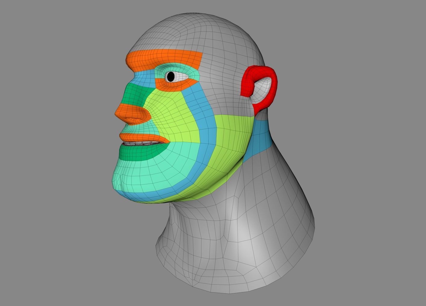 Male cartoon base mesh 3D model | CGTrader