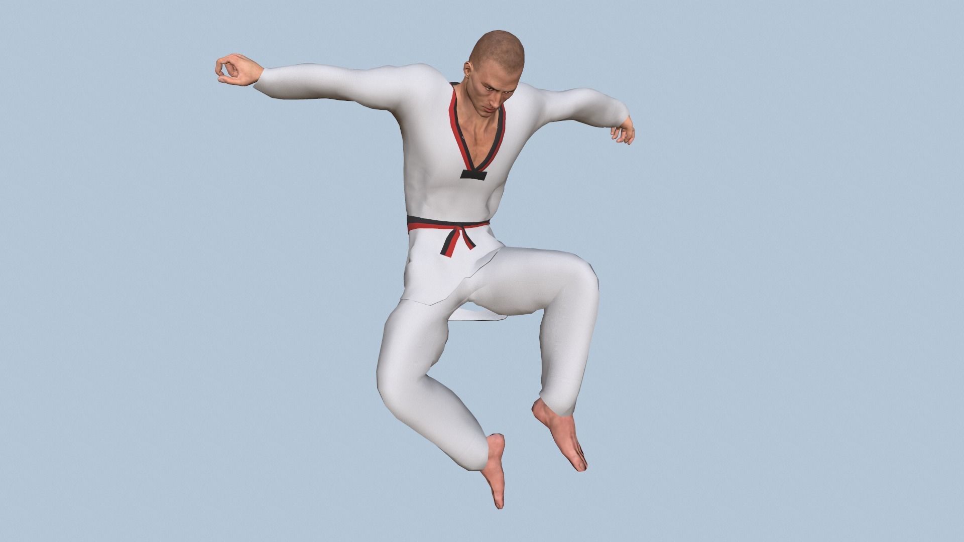 Taekwondo fighter free VR / AR / low-poly 3D model rigged | CGTrader