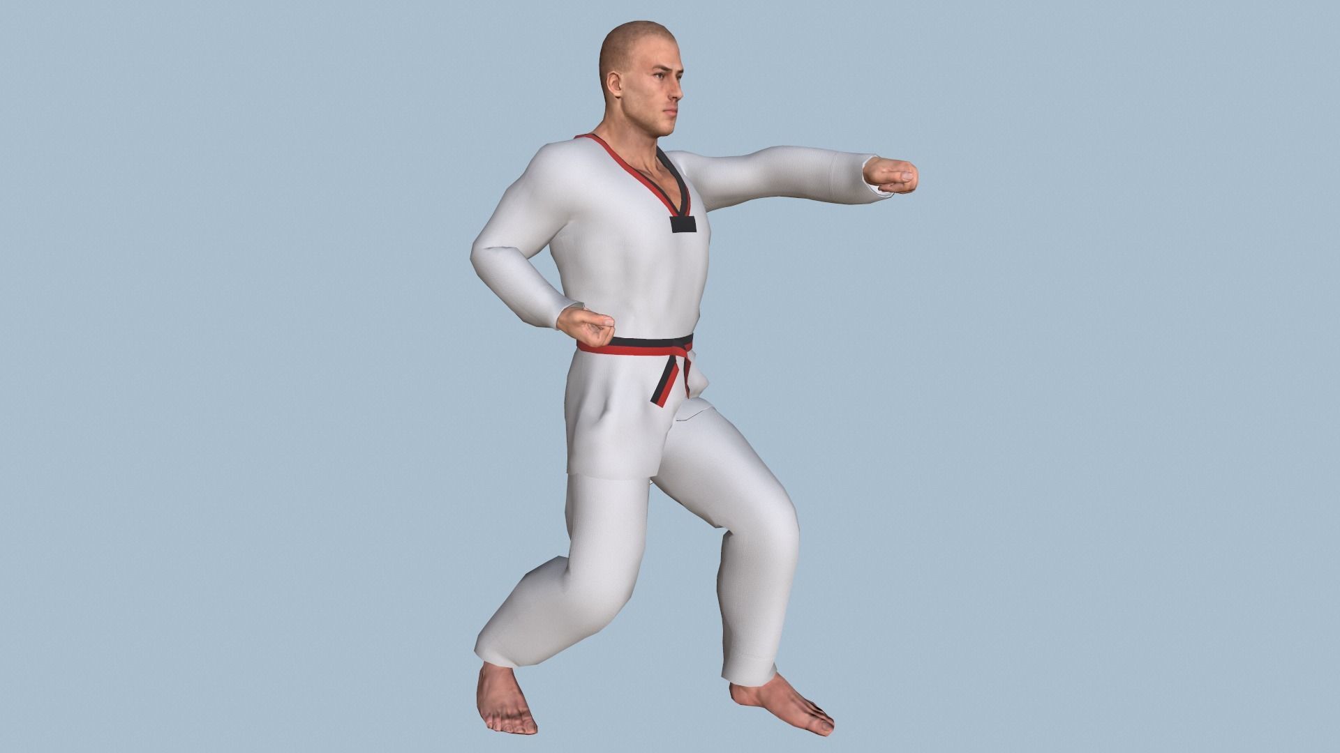 Taekwondo fighter free VR / AR / low-poly 3D model rigged | CGTrader