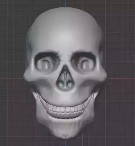 Human skull 3d blender model free 3D model | CGTrader