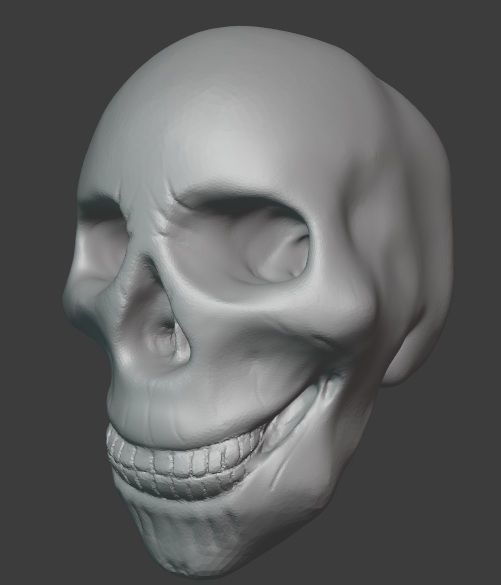 Human skull 3d blender model free 3D model | CGTrader