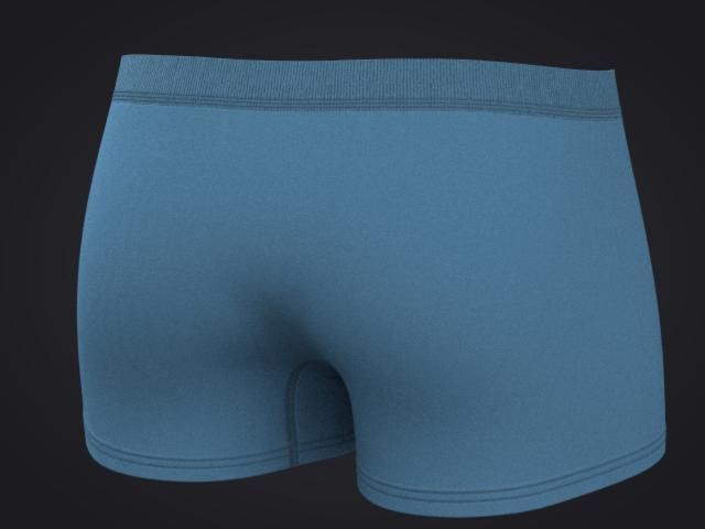 Underwear boxer briefs 3D model | CGTrader