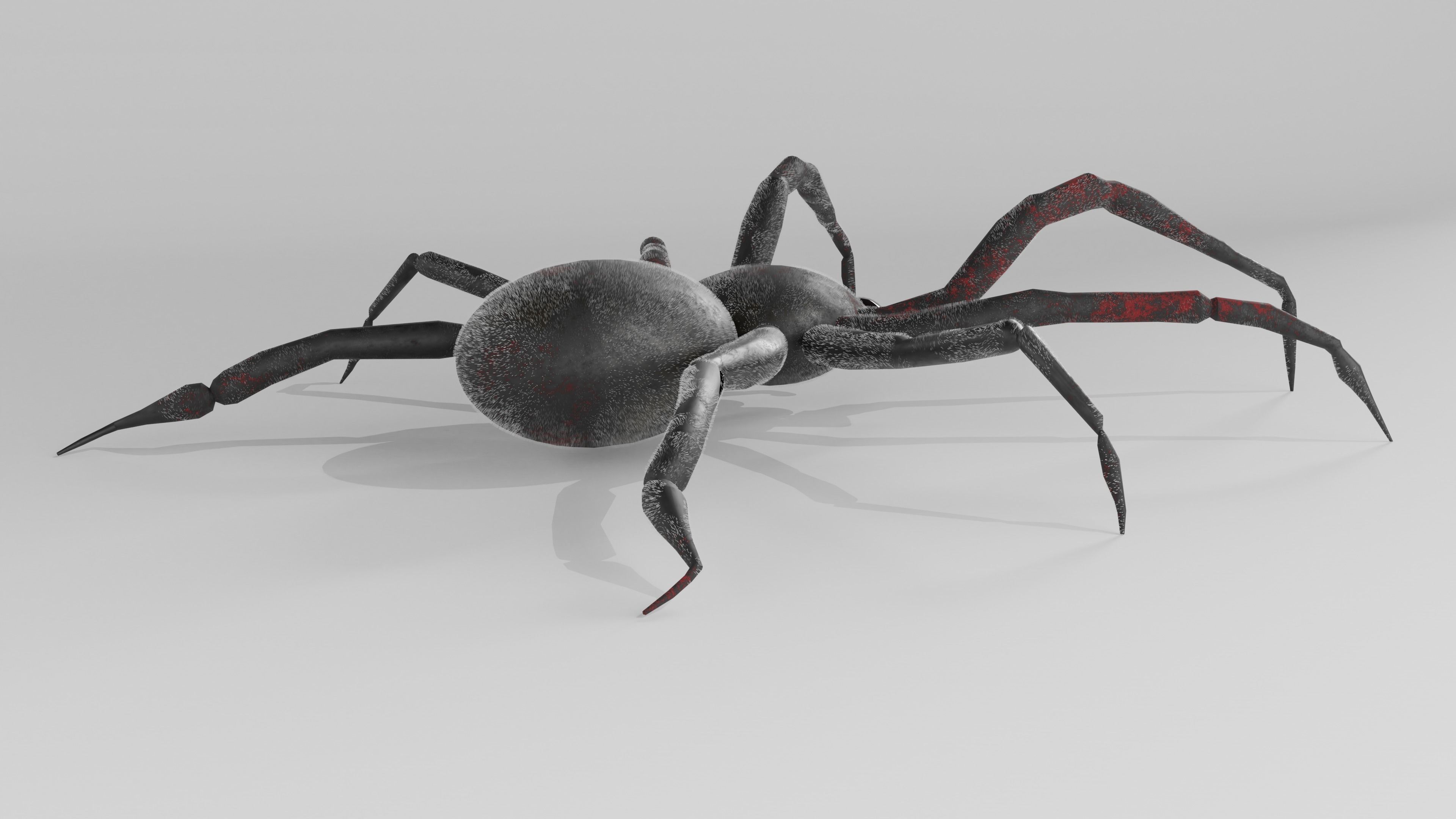 Spider free VR / AR / low-poly 3D model | CGTrader