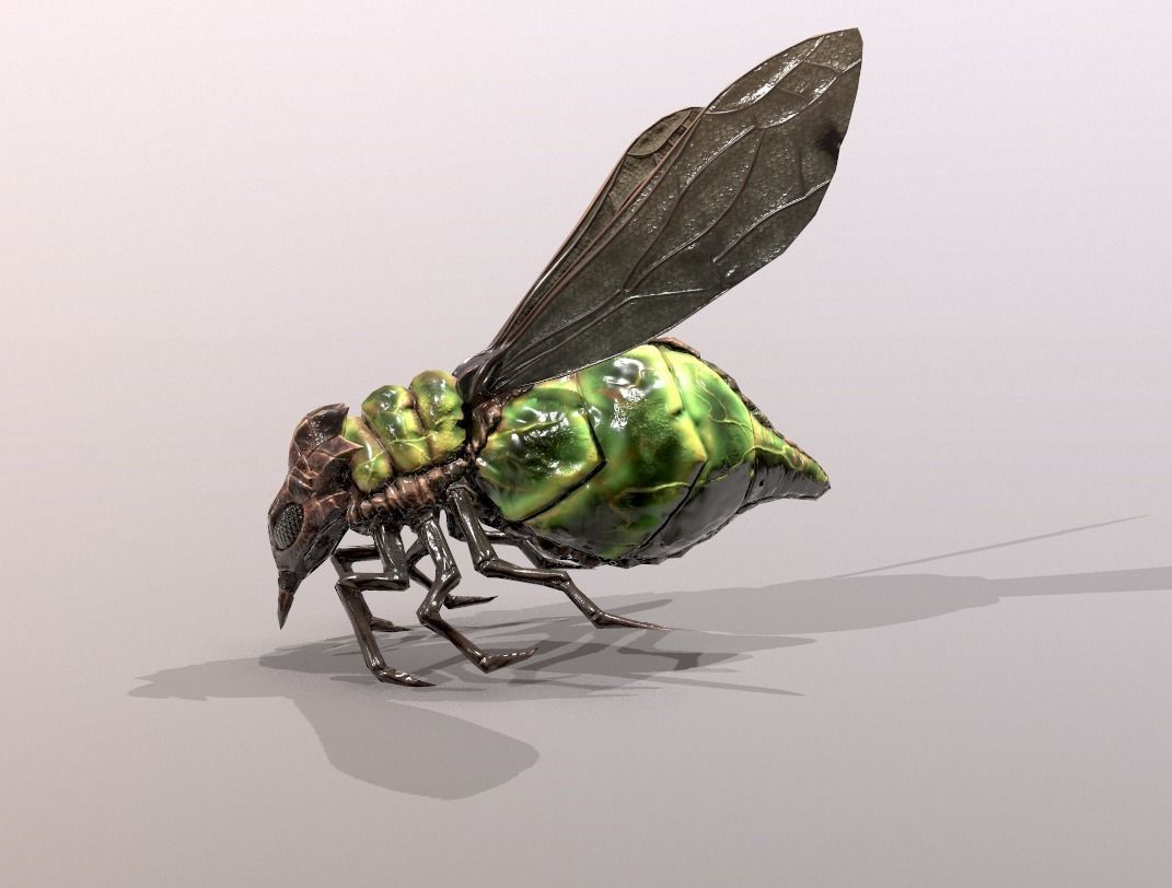 3D model Firefly VR / AR / low-poly rigged | CGTrader