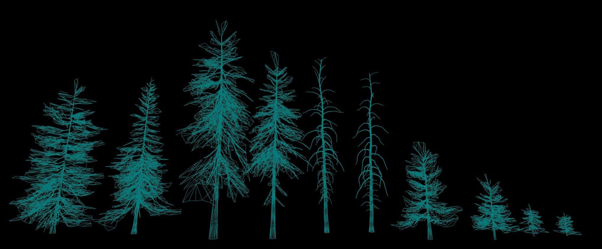3D model Realistic Spruce Trees VR / AR / low-poly | CGTrader