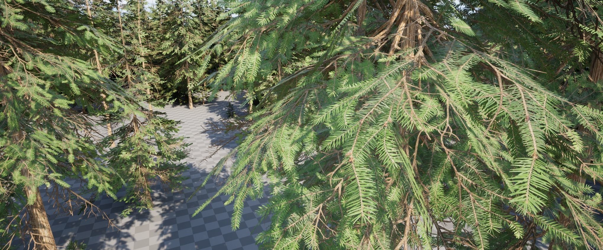 3D model Realistic Spruce Trees VR / AR / low-poly | CGTrader