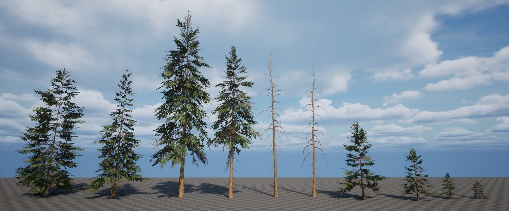3D model Realistic Spruce Trees VR / AR / low-poly | CGTrader