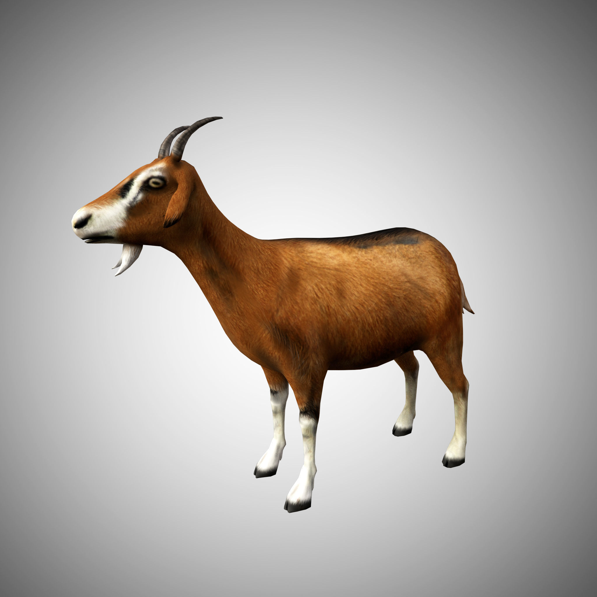 3D model 3d Goat VR / AR / low-poly | CGTrader