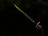 Dhop Sword 3D model | CGTrader