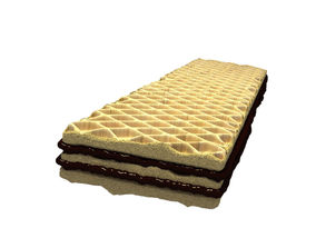 Wafer 3D Models | CGTrader