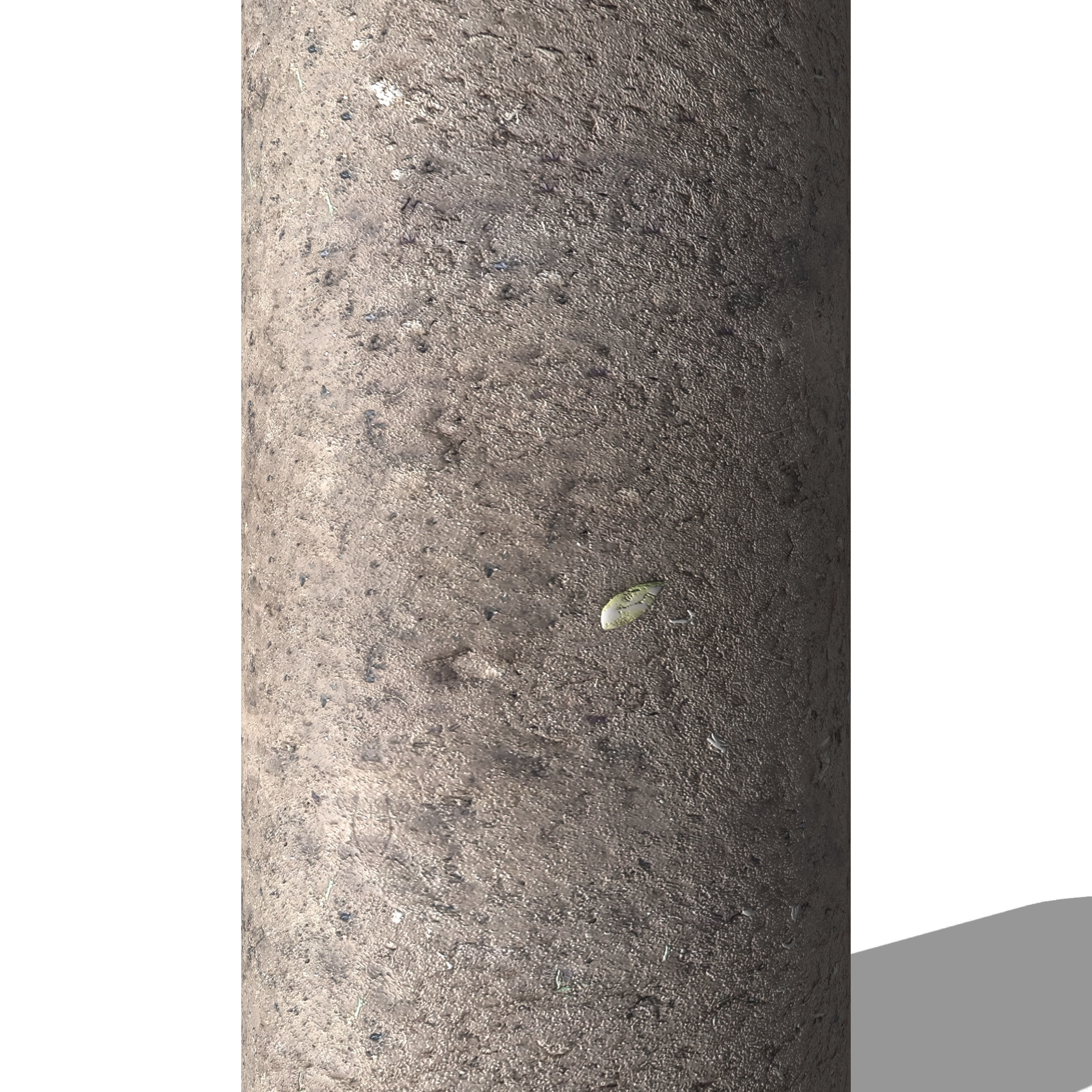 Texture Wet Dirt Texture VR / AR / low-poly | CGTrader