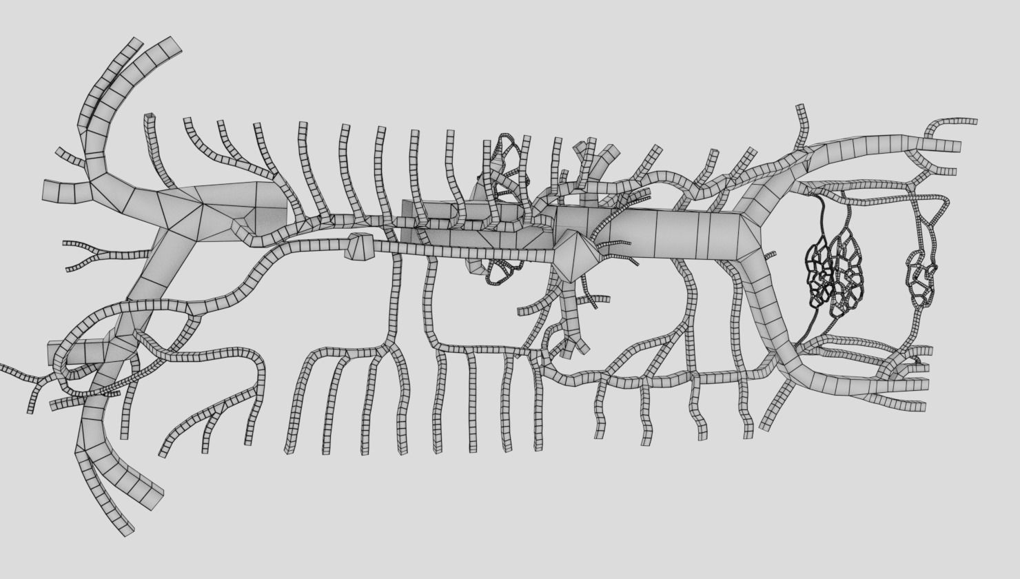 Venous system thorax abdominal vein labelled 3D model | CGTrader