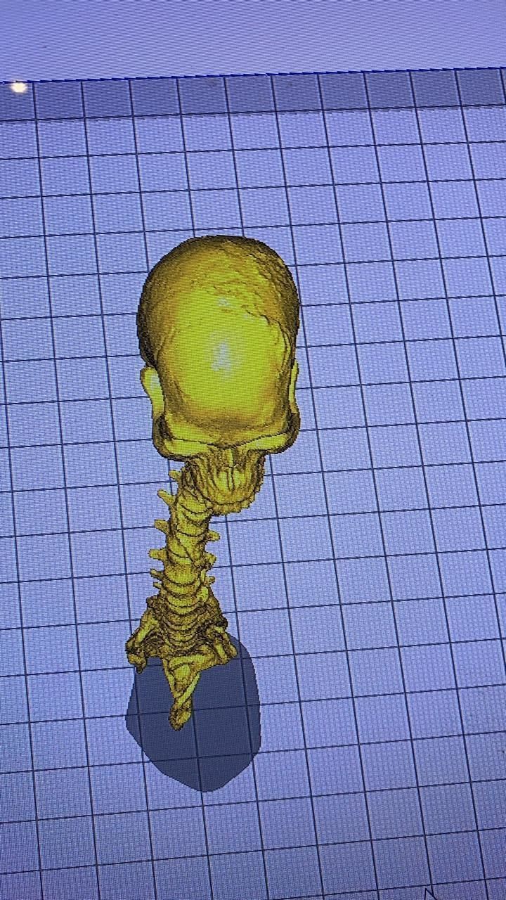 predator trophy 3D model 3D printable | CGTrader