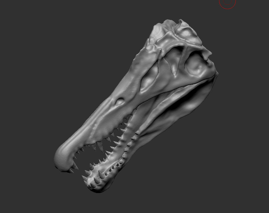 Skull spinosaurus 3D model | CGTrader