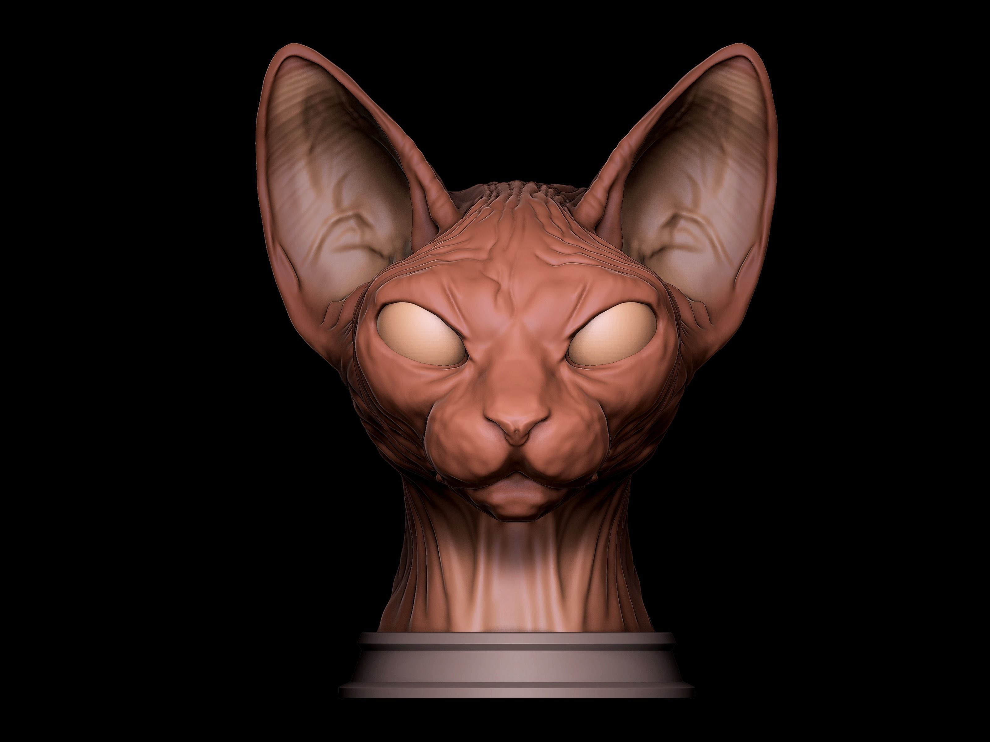 Sphynx Cat 3D Print Model 3D model 3D printable | CGTrader