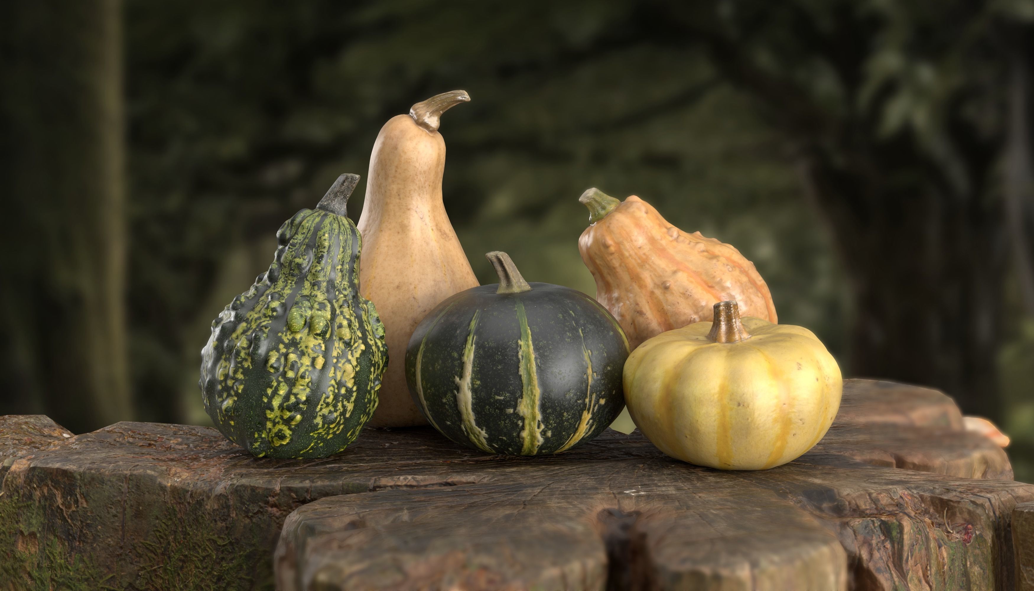 3D Pumpkin models 3D Model Collection | CGTrader