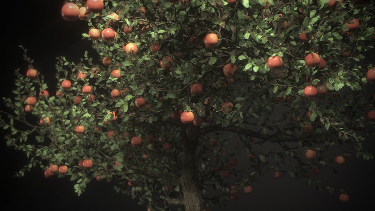 Pirus Malus Apple Tree 3D model | CGTrader