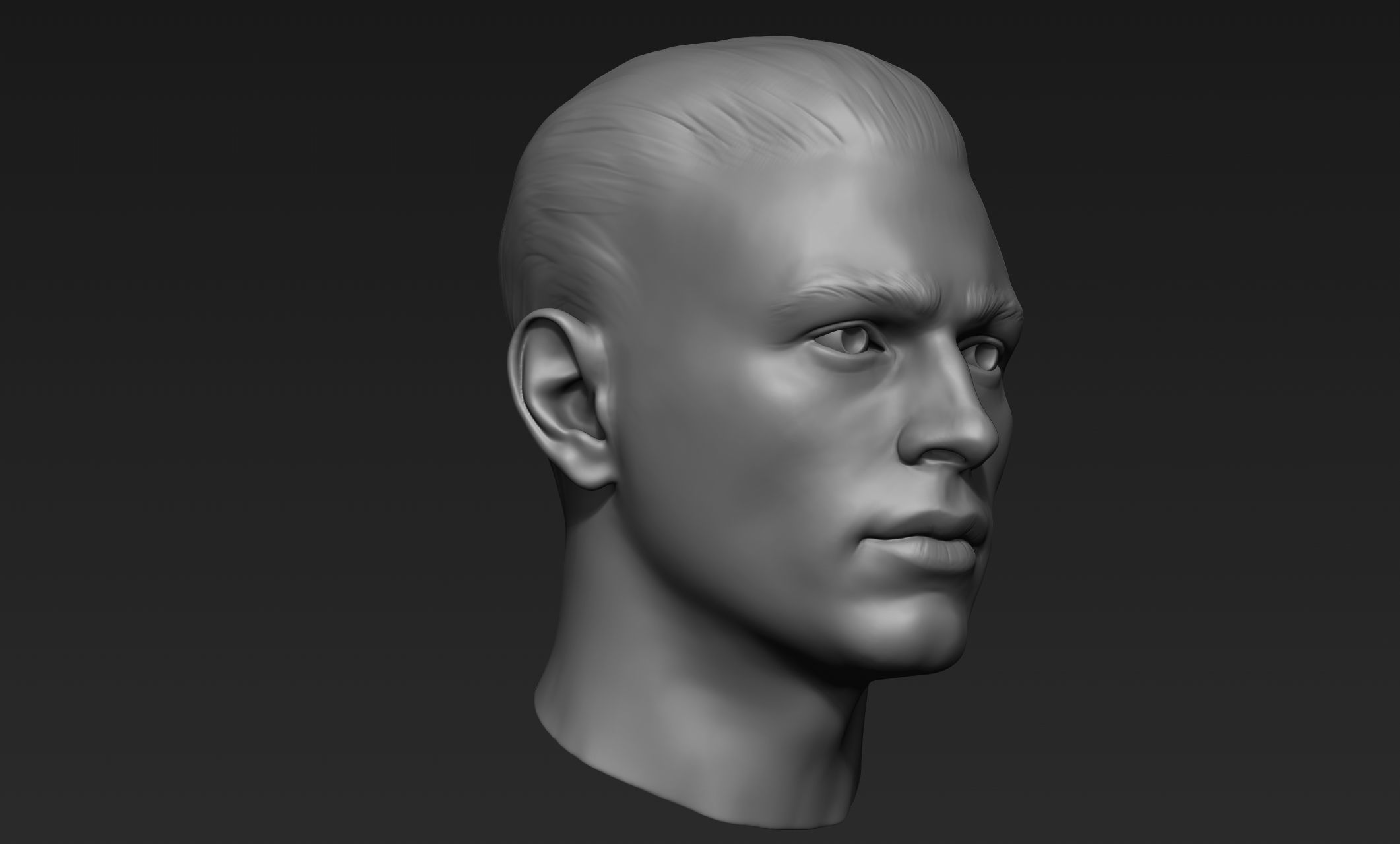 Male Head Sculpt 5 3D model | CGTrader