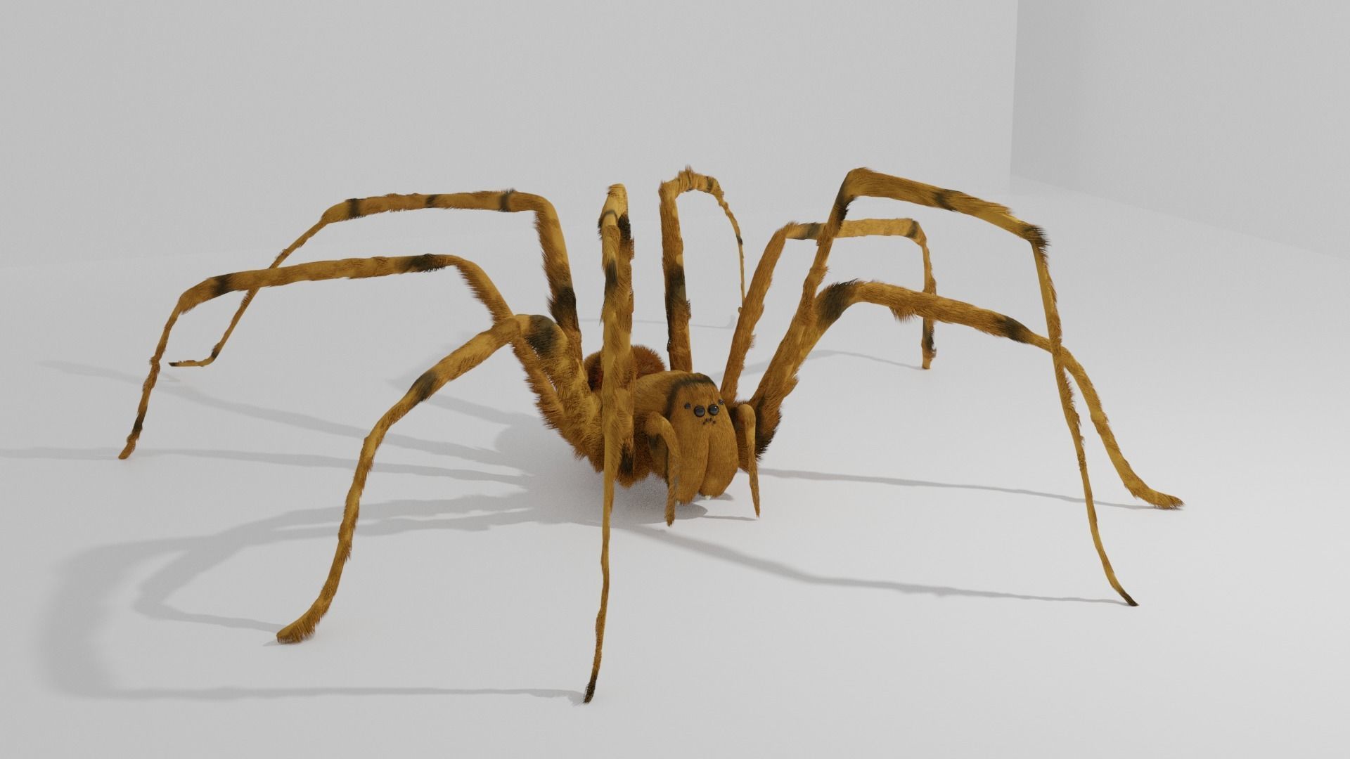 3D model the gigant spider VR / AR / low-poly | CGTrader