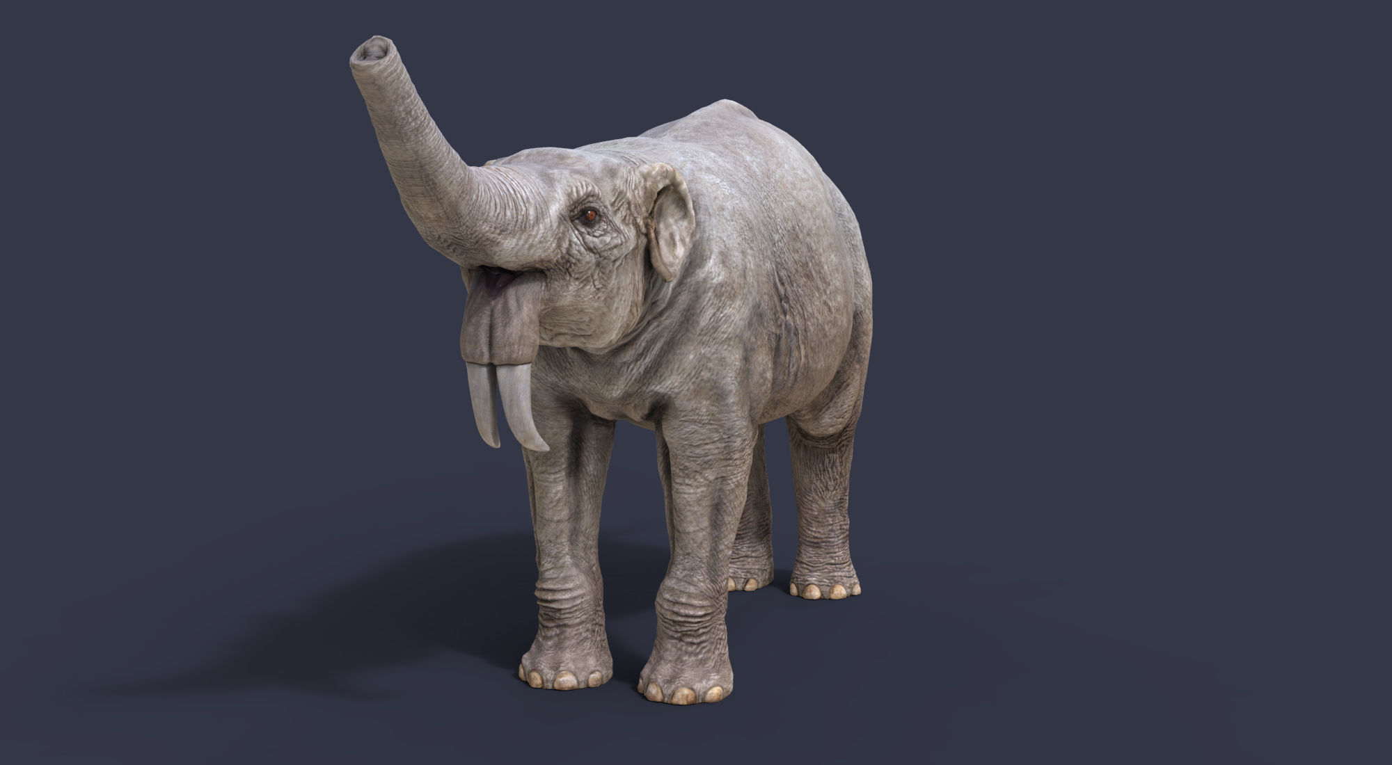 Extinct animals pack version 11 3D model | CGTrader