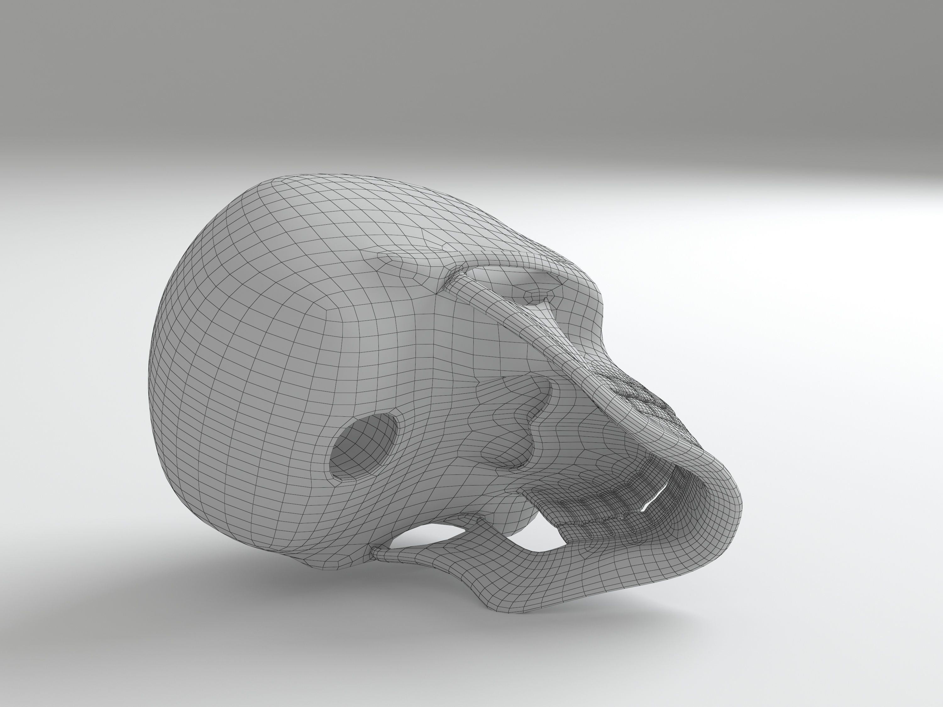 Cranium skull free 3D model | CGTrader