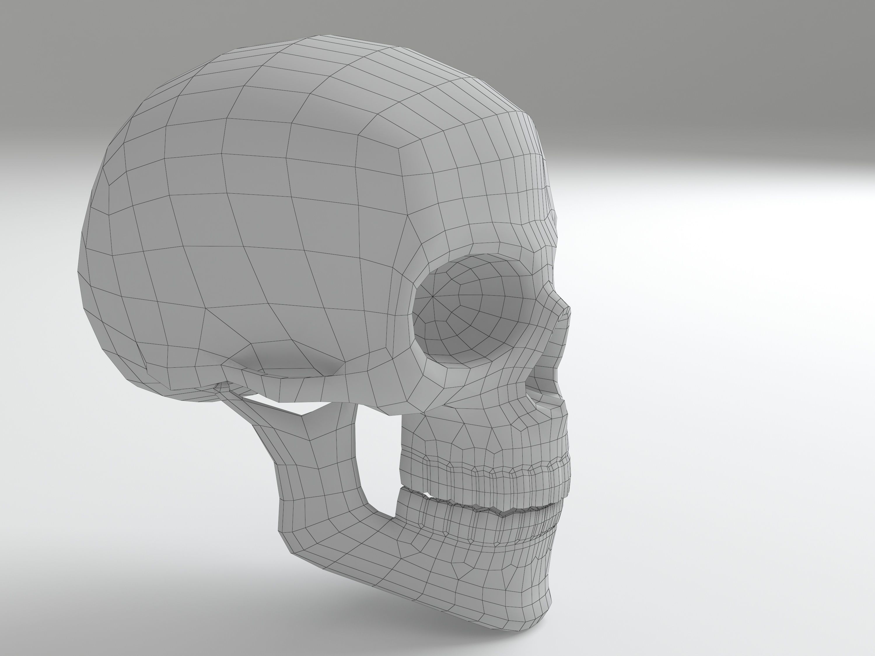 Cranium skull free 3D model | CGTrader