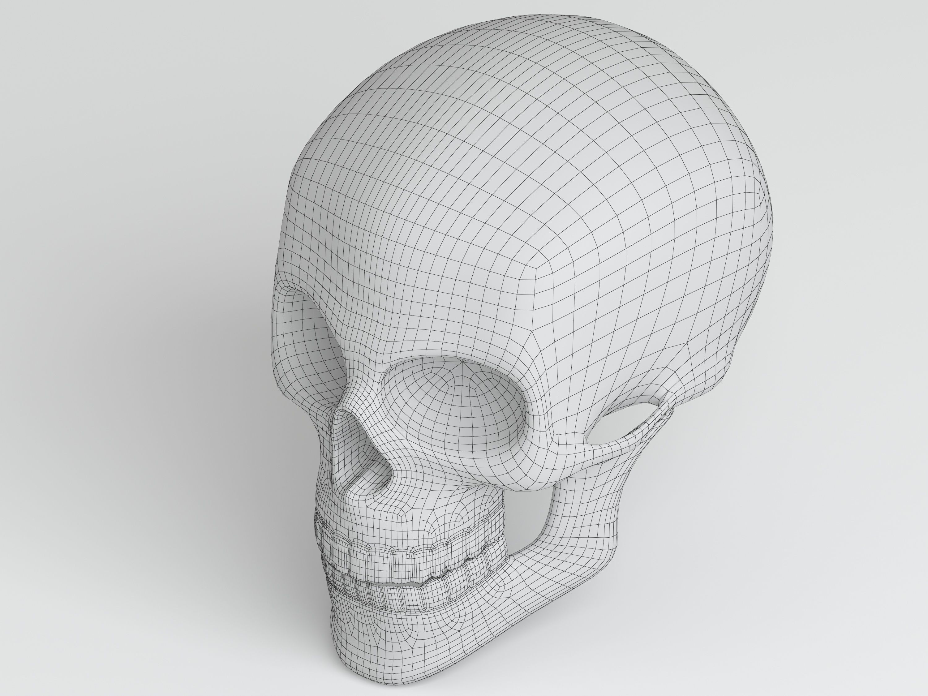 Cranium skull free 3D model | CGTrader