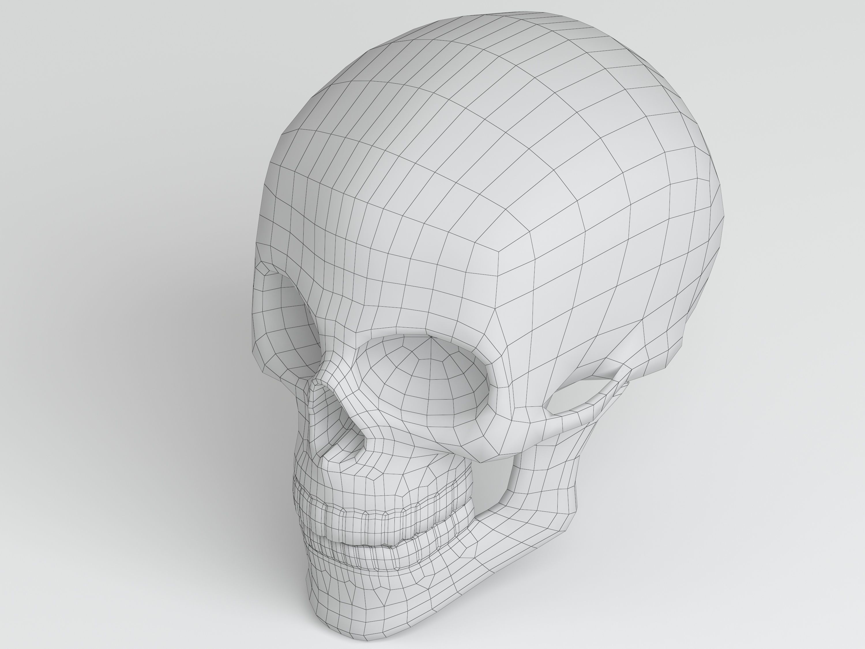 Cranium skull free 3D model | CGTrader